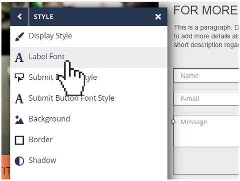 Customizing Form Style