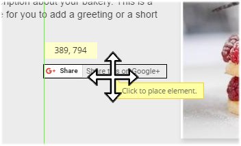 Google+ Share