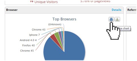 Exporting Your Website Statistics Report