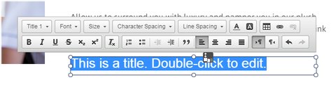 Header and Footer Text