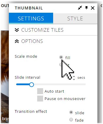 Customizing Thumbnail Scale Options