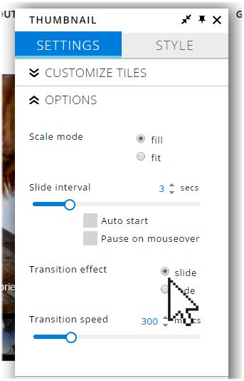 Customizing Thumbnail Gallery Slide Transition Effect
