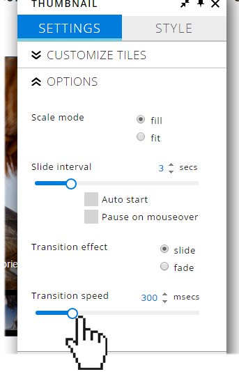 Customizing Thumbnail Gallery Slide Transition Effect